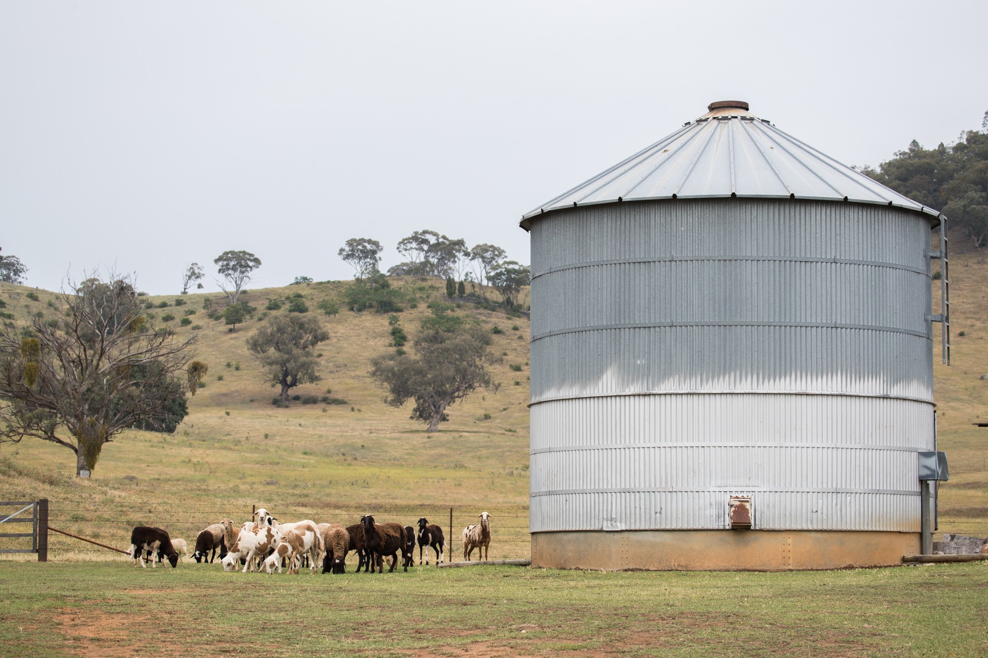 You can sleep in a converted silo on this farm stay near Mudgee