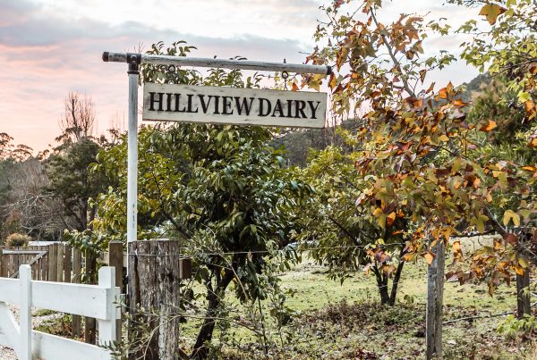 Hillview Dairy Currumbin Valley | Slow Stays by Life Unhurried